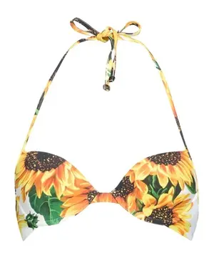 Dolce & Gabbana Floral Print Bikini Top