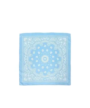 Max Mara Patterned Silk Scarf