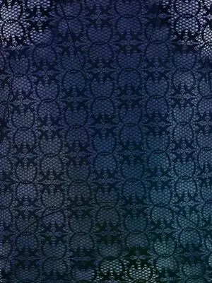 Pinko Stretch Lace Sweater With Love Birds Logo Motif