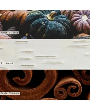 ILLUME Midnight Pumpkin Mercury Pumpkin Candle, 8.6 Oz