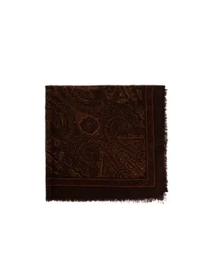 Etro Frayed-edge Scarf - Brown
