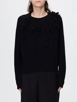 Alberta Ferretti ALBERTA FERRETTI Embroidered Virgin Wool Crewneck Jumper Black