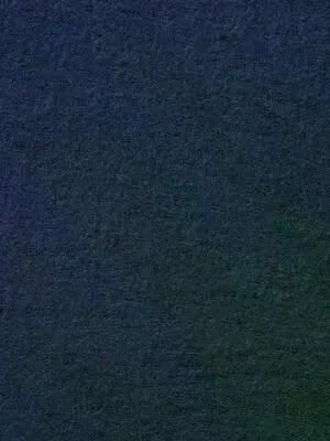 HIMALAYA CLOTHING Purschön Cashmere Scarf