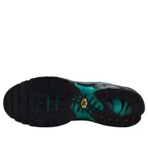 Nike Max Plus 'black Dusty Cactus - Black/dusty Cactus