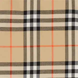Burberry Cotton Check Shirt