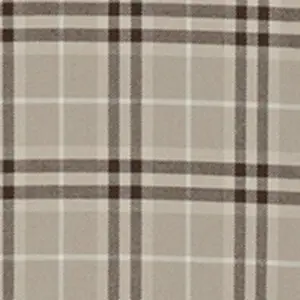 Burberry Cotton Check Shirt