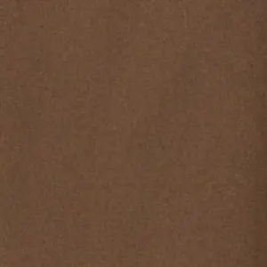 Loewe Drawstring Hem Shirt