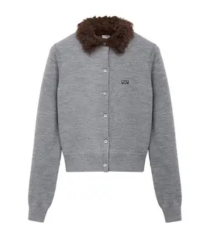 Loewe Wool Brushed-collar Cardigan