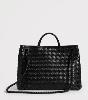 Bottega Veneta Medium Andiamo Shoulder Bag
