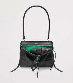 Loewe X Cosima Von Bonin Medium Leather Amazona 180 Top-handle Bag