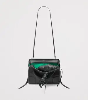 Loewe X Cosima Von Bonin Medium Leather Amazona 180 Top-handle Bag