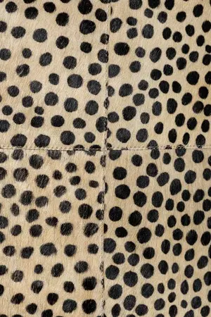 RÓHE Leather Skirt With Animal Print
