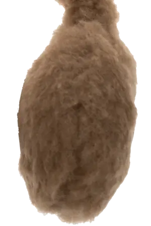 Max Mara Wool Earmuffs ‘muffy