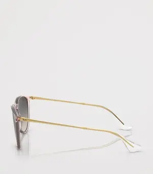 Ray-ban Erika Classic Phantos Sunglasses