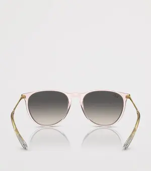 Ray-ban Erika Classic Phantos Sunglasses