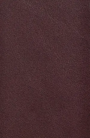 Rag & Bone Rugged Leather Belt