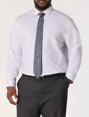 HAGGAR Big & Tall Four Petals Wrinkle-free Dress Shirt - Silver