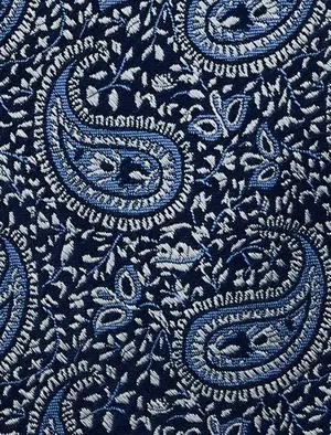 Michael Kors Big & Tall Luma Paisley Tie - Navy