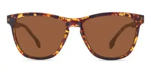 ONE:1 Futura Sunglasses - Tortoise