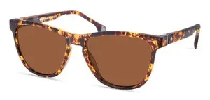 ONE:1 Futura Sunglasses - Tortoise