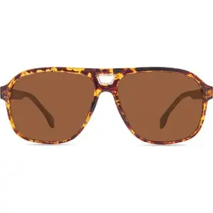 ONE:1 Graphik Sunglasses Tortoise