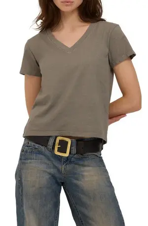 PROJECT SOCIAL T The Must Have V-neck T-shirt Slate