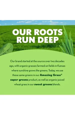 AMAZING GRASS Green Superfood Powder Berry Nutritious Supplement