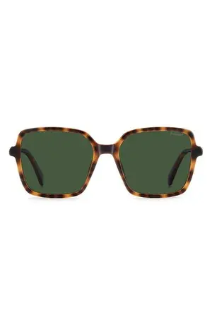 POLAROID Square Frame Sunglasses - Havana/green Pz