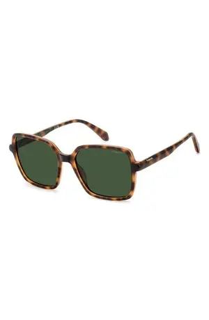 POLAROID Square Frame Sunglasses - Havana/green Pz