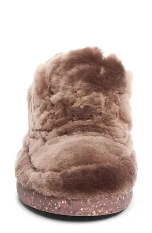 Gabriela Hearst Ohio Genuine Shearling Sneaker
