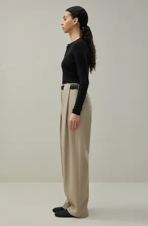 Lilysilk Box Pleated Silk-wool Wide Leg Trousers