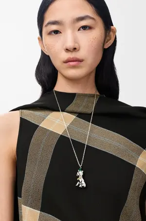 Loewe Dog Necklace In Enamel - Silver/green