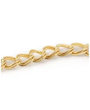 ANA LUISA 14k Plated Link Chain Necklace