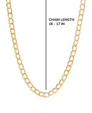 ANA LUISA 14k Plated Link Chain Necklace