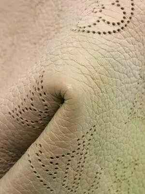 LOUIS VUITTON Monogram Mahina Bella Bucket Bag - Neutrals