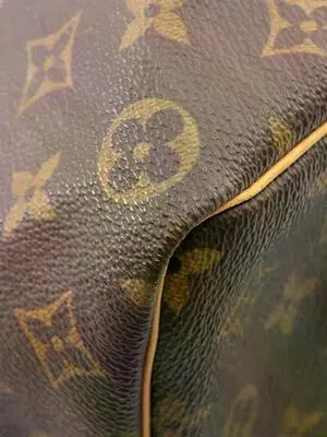 LOUIS VUITTON Keepall 50 Travel Bag