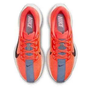 Nike Pegasus Plus Running Shoes