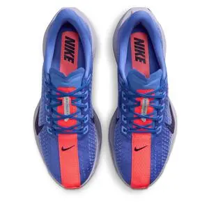 Nike Simple Running Shoes