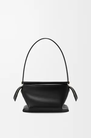Loewe Small Whisker Bag In Glazed Calfskin