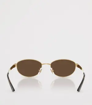 Ray-ban Metal Oval Sunglasses