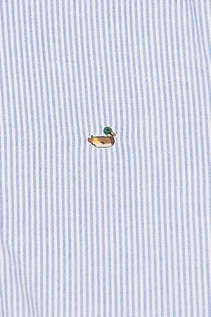 EDMMOND STUDIOS Duck Striped Shirt - Plain Light Blue