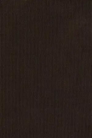 Acne Studios Pentyone M Cord