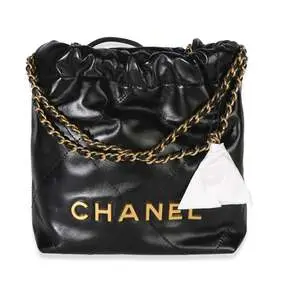CHANEL Chanel Quilted Calfskin Mini 22 Hobo Bag