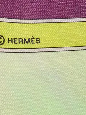 Hermès Camails Twilly Scarf