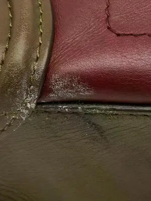 Celine Luggage Nano Calf Leather Tote Bag