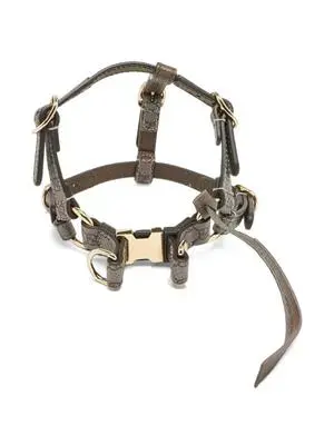 Gucci Logo-detail Pet Harness