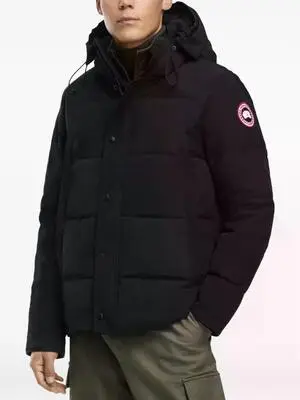 Canada Goose Hooded Padded Jacket