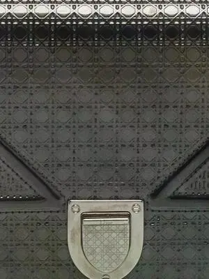 Dior Mini Diorama Microcannage Shoulder Bag