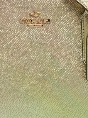 COACH Mini Christie Carryall Tote Bag