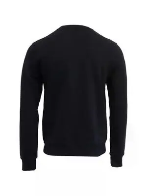 Dior X Kaws Sweatshirt